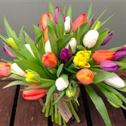Ashlea Flowers Dartford Florist Order Online 01322 666555